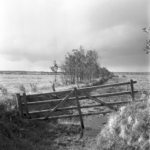 Geest – Gesellschaft für Schleswig-Holsteinische Geschichte